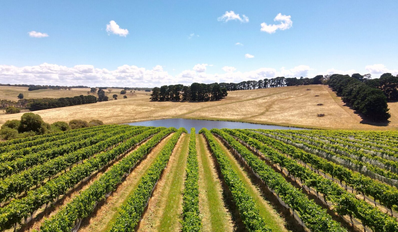 Wine distribution in Melbourne, Victoria and Tasmania, Australia ...